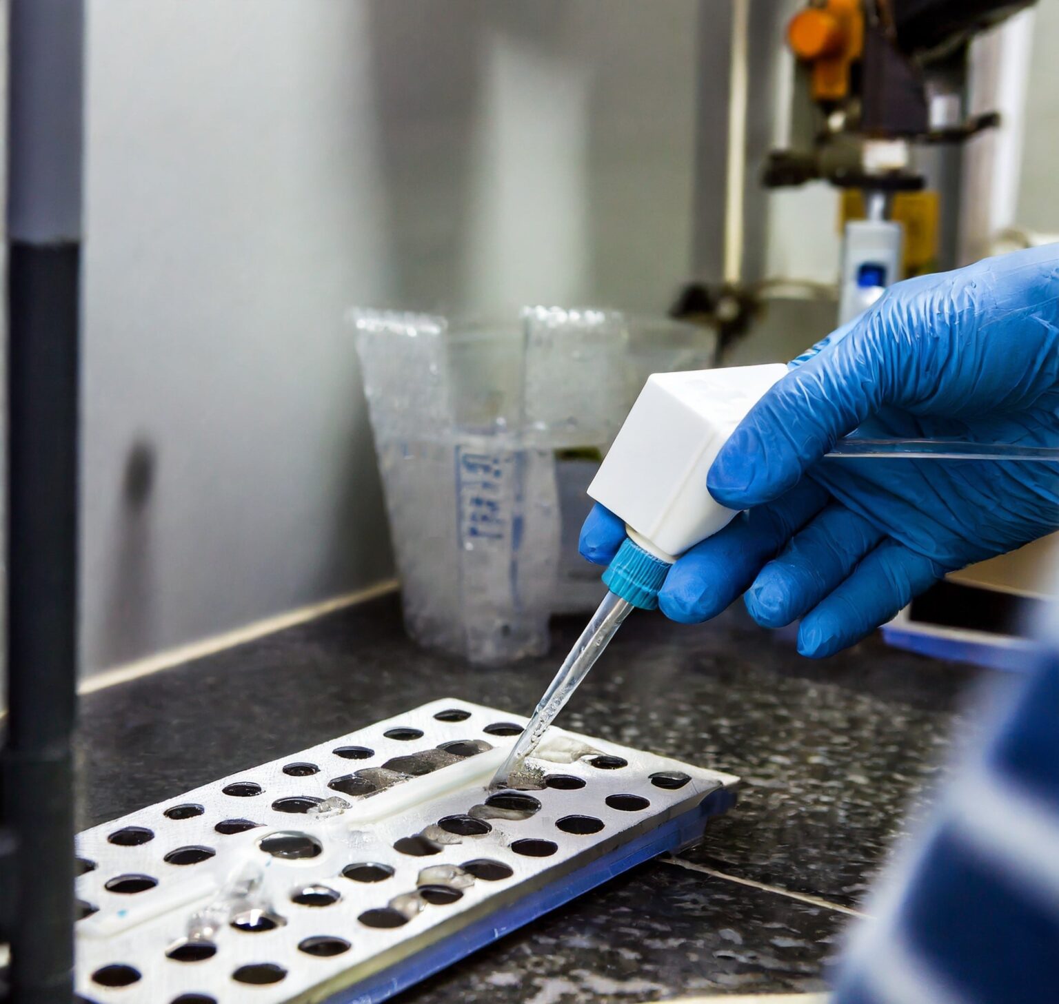 Why is moisture testing important for Sydney homes?